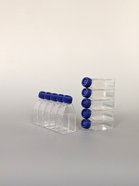 CytoSoft® T-25 Flasks | CC331